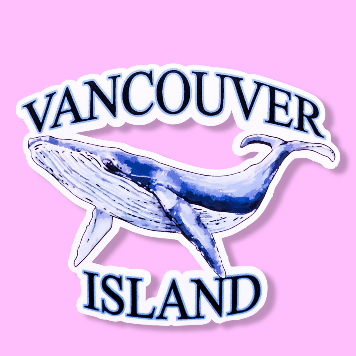 VanIsle Whale Stickers – VanIsle Attire + VanIsle Customs